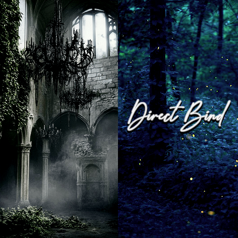 Ancient Abandoned Sanguine Vampire Castle, Astral Portal, Direct Bind ...